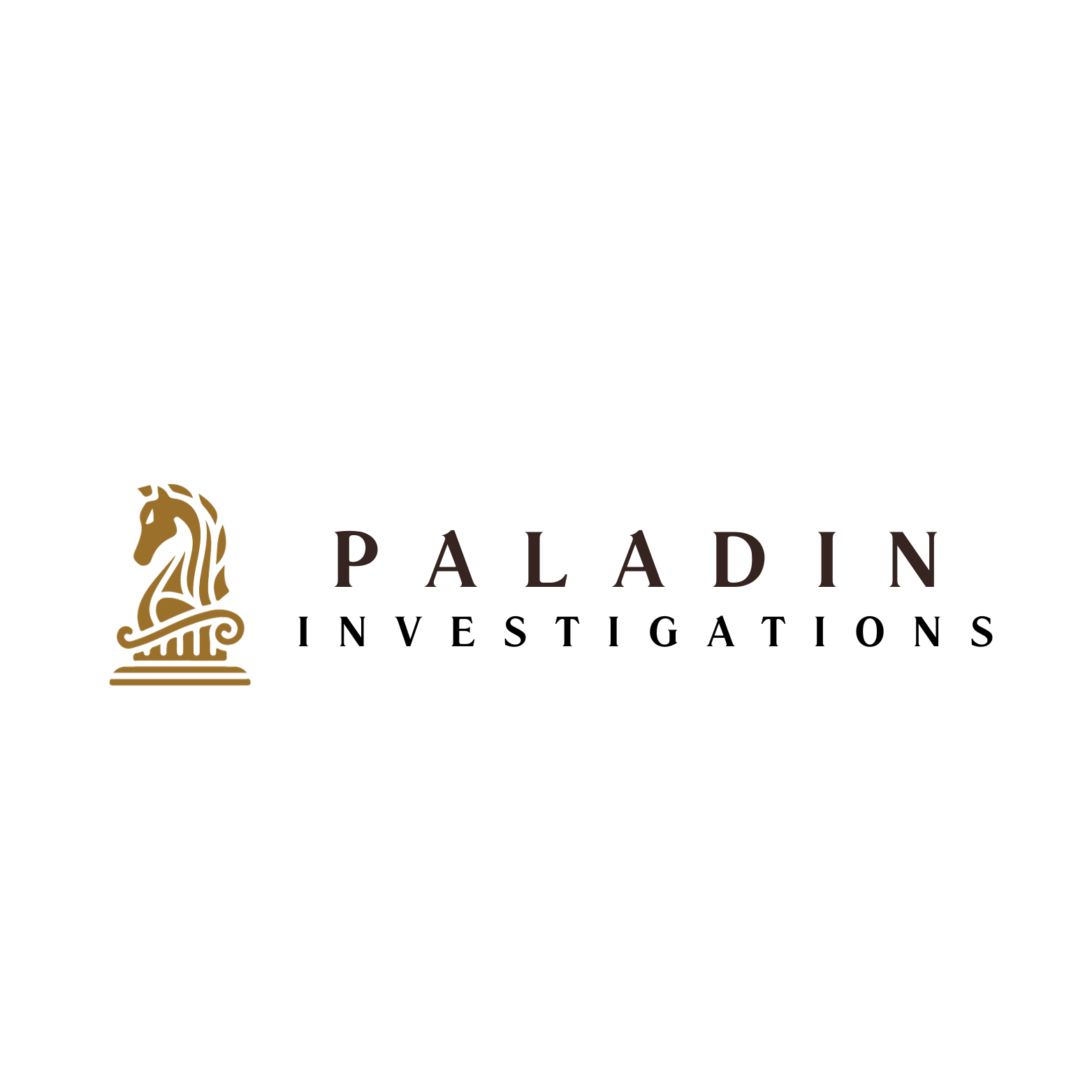 Paladin Investigations - SNARP
